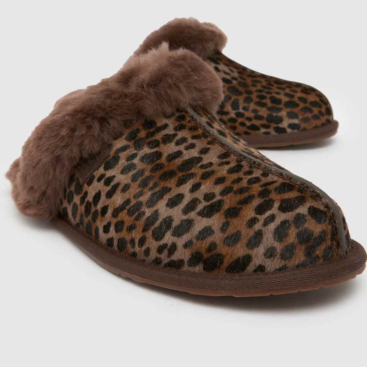 Womens Brown Multi UGG Scuffette Caspian Slippers | schuh