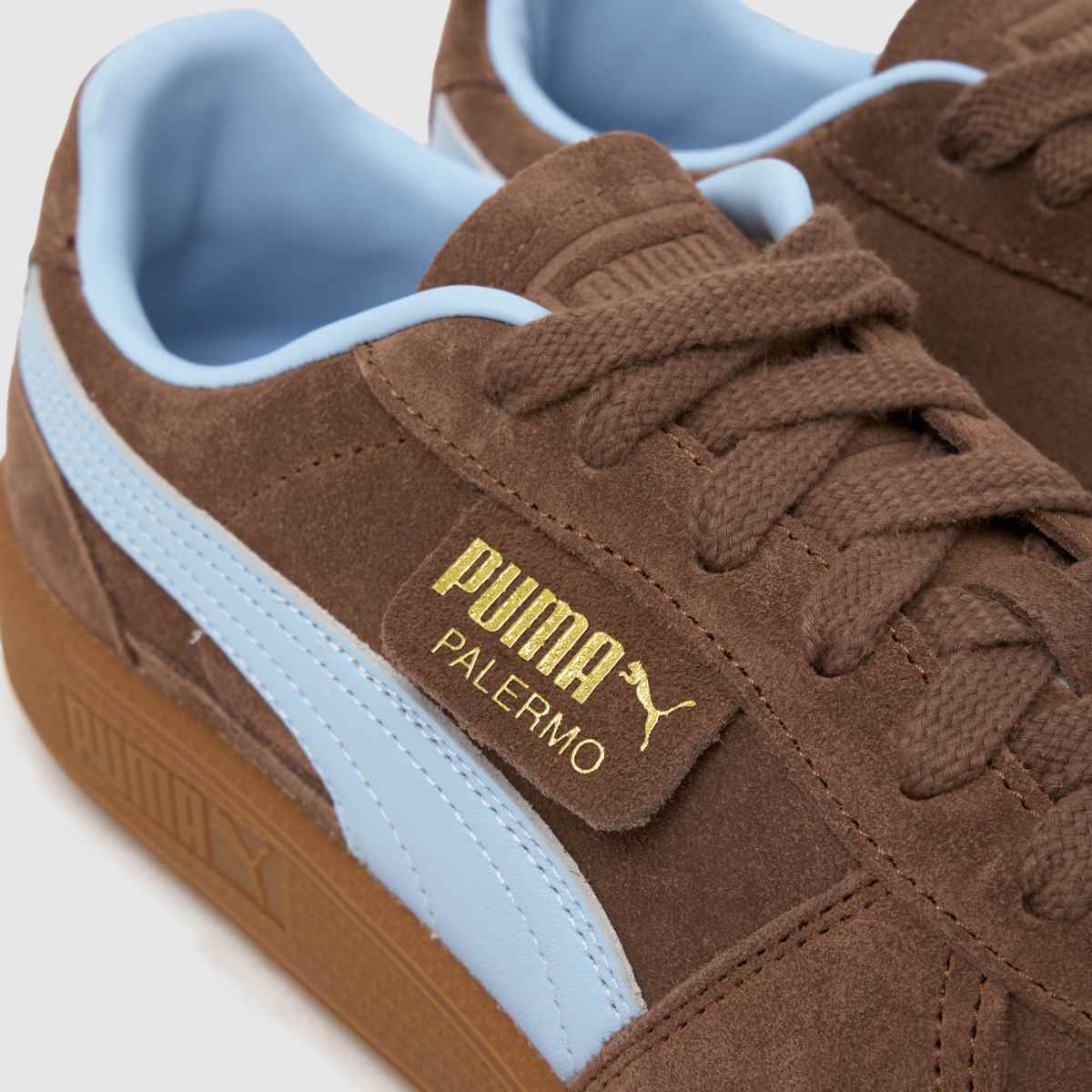 Mens Brown Multi PUMA Palermo Trainers | schuh