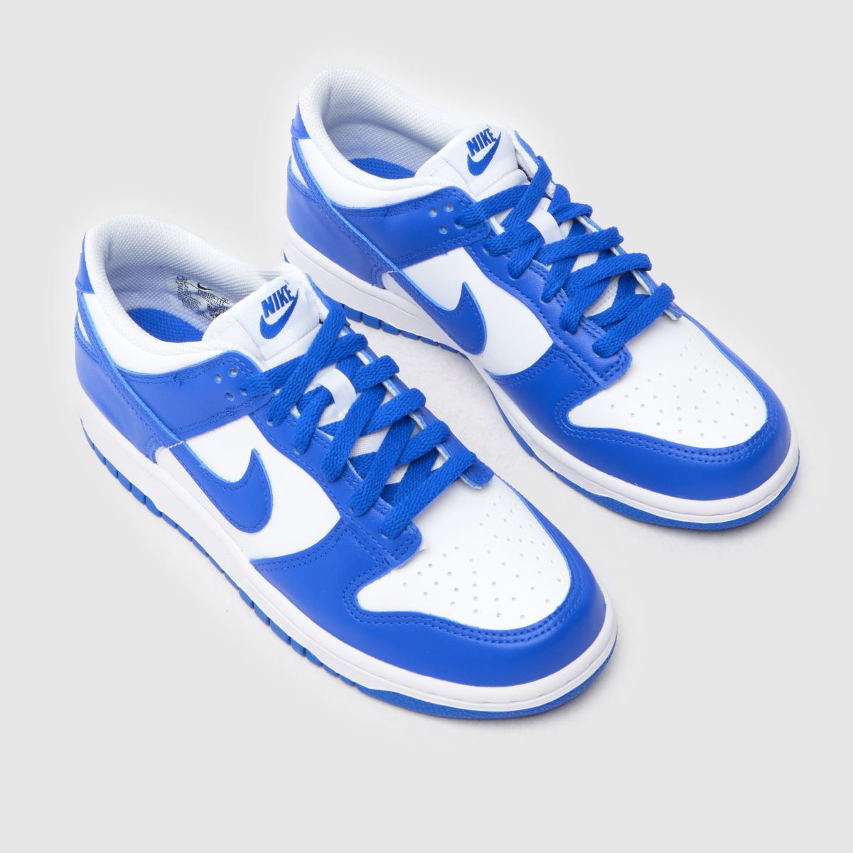 Kids Boys Youth White & Blue Nike Dunk Low Trainers | schuh